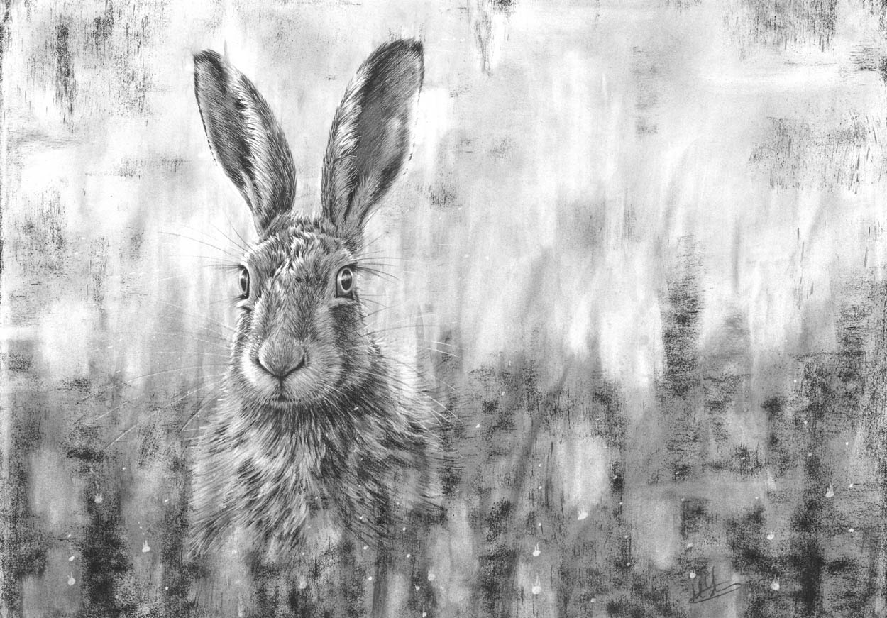 Nolon Stacey - The Smithy Gallery | The Smithy Gallery